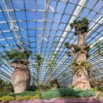 SandsSkyPark Gardens by the Bay & Singapore Flyer - Analyzing the Value