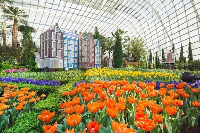 SandsSkyPark+GardensbytheBay(FlowerDome&Jurassic World)Transfers - Authentic Perspectives from Reviewers