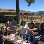 Santa Ynez Valley Private Wine Tours from Santa Barbara - Practical Details and Tips