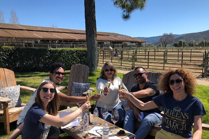 Santa Ynez Valley Private Wine Tours from Santa Barbara - Practical Details and Tips
