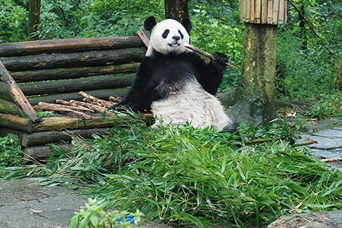 Sanxingdui Ruins and Giant Pandas Private Day Tour from Chengdu - Stepping Back in Time at Sanxingdui Museum