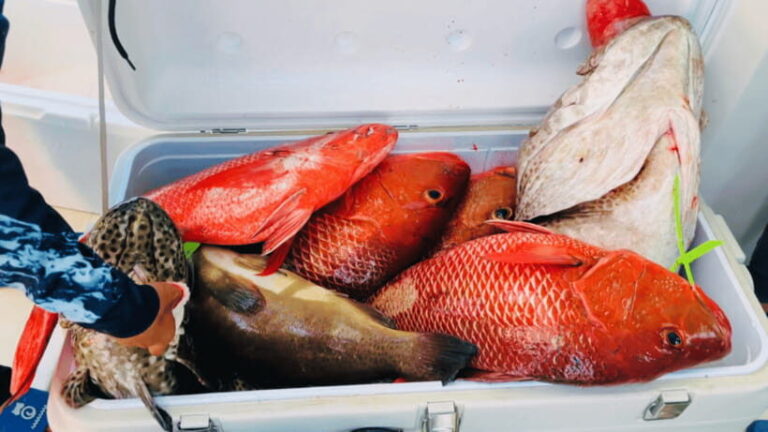 Sanya: Deep Sea Fishing Yacht Experience - Final Thoughts: Who Will Love This Experience?