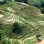 Sapa 1 Day Trekking - The Guide and Cultural Insights