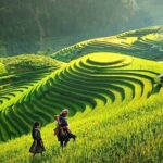 Sapa 1 Day Trekking Tours - Detailed Breakdown of the Itinerary