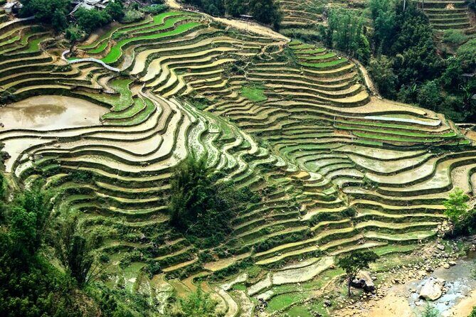 Sapa 1 Day Trekking - The Guide and Cultural Insights