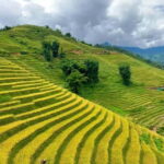 Sapa 2-Day Adventure: Trekking Lao Chai, Ta Van & Fansipan - Detailed Experience Breakdown