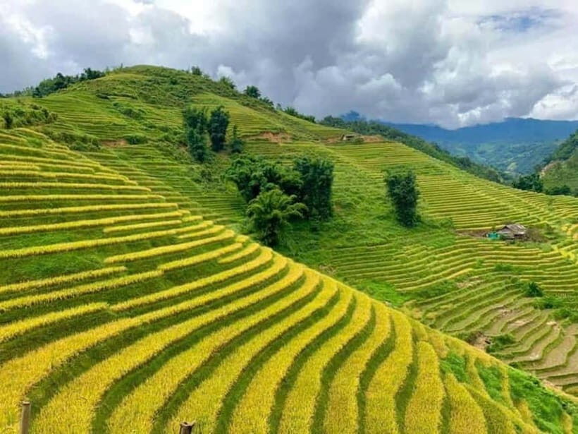 Sapa 2-Day Adventure: Trekking Lao Chai, Ta Van & Fansipan - Detailed Experience Breakdown