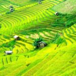 Sapa 2D1N Trekking to Giang Ta Chai Village from Hanoi by Bus - The Viewpoint of Past Travelers