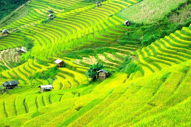 Sapa 2D1N Trekking to Giang Ta Chai Village from Hanoi by Bus - The Viewpoint of Past Travelers