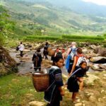Sapa 3 Days 2 Nights Trekking Tour From Hanoi (2 Nights in Hotel) - How Do the Logistics and Value Stack Up?