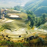 Sapa Amazing Experience: Cat Cat Village 1 Day with Local Guide - A Deep Dive into the Experience