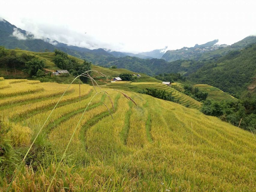 Sapa Bike Tour to Muong Hoa Valley and Local Life Experience - What’s Included and What’s Not