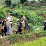 Sapa: Discover the Secrets of Red Dao herbal bath - Detailed Breakdown of the Itinerary
