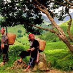 Sapa Easy Trekking Tour 1 Day - Rice Paddies and Cultures - Practical Details and Tips