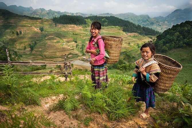 Sapa Easy Trekking Tour 1 Day - Rice Paddies and Cultures - The Transport and Group Size