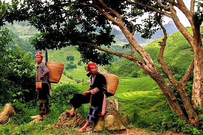 Sapa Easy Trekking Tour 1 Day - Rice Paddies and Cultures - Practical Details and Tips