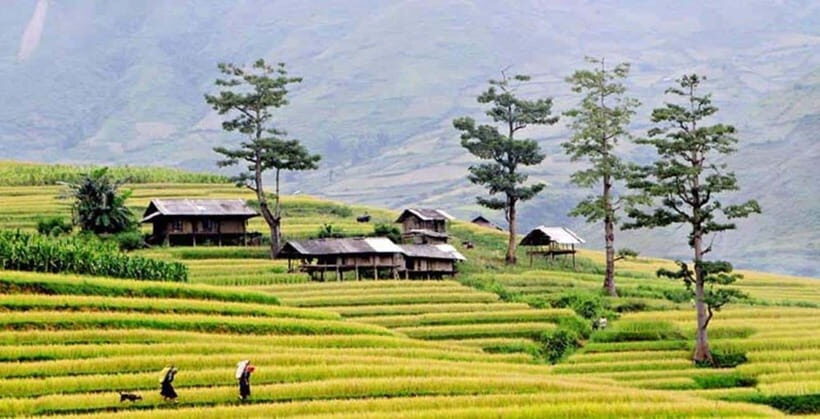 Sapa: Eco Adventure Terrace Fields and Local Villages Trek - Why This Tour Offers Great Value