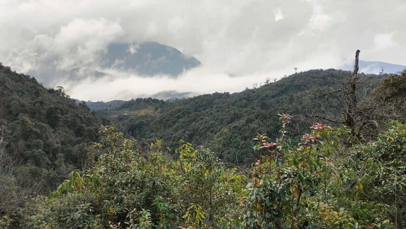 Sapa: Fansipan Mountain 2-Day Trekking Tour - A Detailed Breakdown of the Itinerary