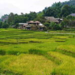 Sapa: Full-Day Hike to Ta Phin & Cat Cat Village with Lunch - What Makes This Tour Stand Out