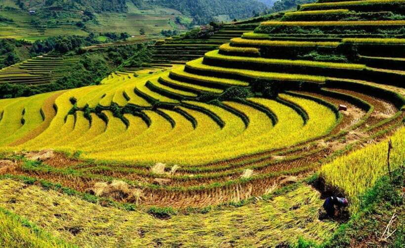 Sapa: Half Day Treck To Visit Y Linh Ho , Lao Chai, Ta Van - Detailed Breakdown of the Itinerary