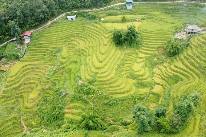 Sapa Journey 3D2N: 3 Star Hotel Stay & Village Homestay - Day-by-Day Breakdown