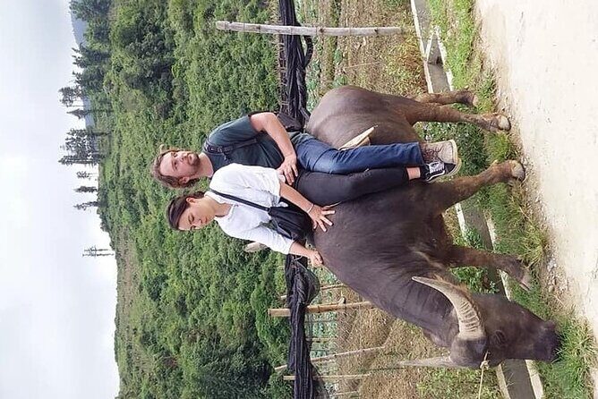 Sapa private: One day of funny Buffalo Ride & Trekking Tour - Why This Tour Works for Different Travelers