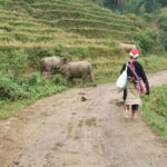Sapa: Private trek to Muong Hoa Valley - Detailed Breakdown of the Itinerary