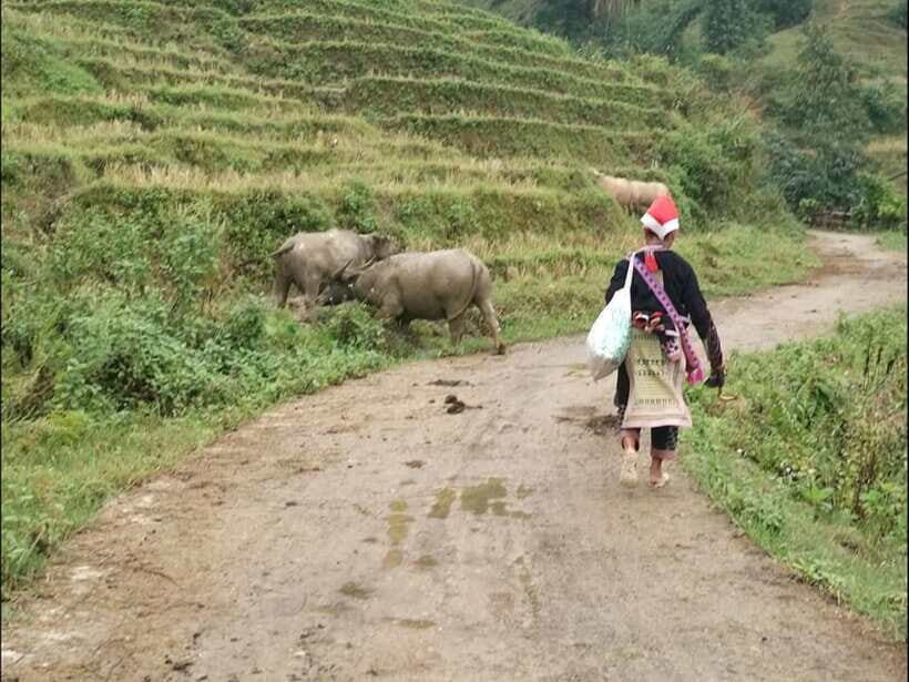 Sapa: Private trek to Muong Hoa Valley - Detailed Breakdown of the Itinerary