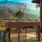 Sapa Sisters Trekking Advantures - Who Should Consider This Tour?