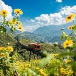 Sapa: Trek, Food, Culture, Fansipan Cable Car & Train from Hanoi - Who Should Consider This Tour?