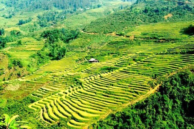 Sapa Trekking 3 days 2 nights (Hotel & Homestay Overnight) - FAQ About the Fansipan 3-Day Trekking Tour