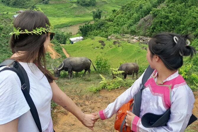 Sapa trekking - Homestay 2Days - A Detailed Look at the 2-Day Sapa Homestay Trek