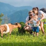 SAPA TREKKING & HOMESTAY: 3D2N - Transport, Cost, and Value