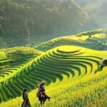 Sapa trekking tour for 2D1N (Lao Chai - Ta Van - Cat Cat ) - Practical Tips for Your Trek