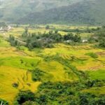 Sapa Valley Trek and Homestay - 3D2N Private Tour - The Value of the Experience