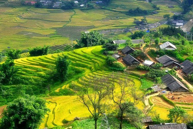 Sapa Village Trekking 1 Day Trip - The Itinerary Breakdown: What to Expect