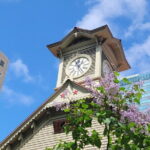 Sapporo Golden Route Stroll Walking Tour - Final Thoughts