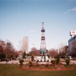 Sapporo Like a Local: Customized Private Tour - Why This Tour Offers Good Value