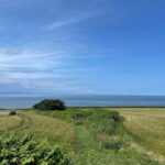 Sapporo privete tour: Royce Town, Autumn Foliage, Sunset Viewing - Inside the Tour: A Deep Dive