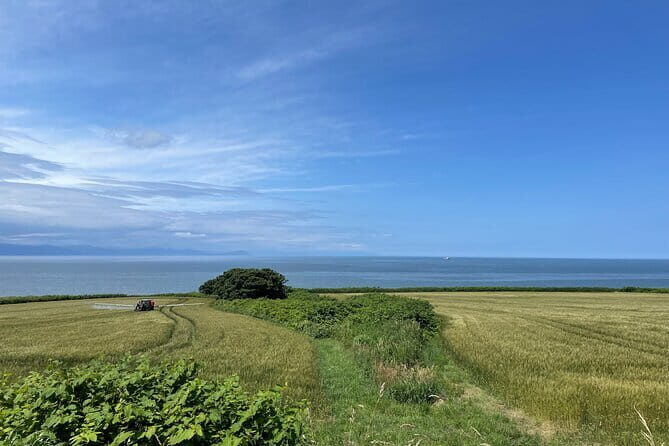 Sapporo privete tour: Royce Town, Autumn Foliage, Sunset Viewing - Inside the Tour: A Deep Dive