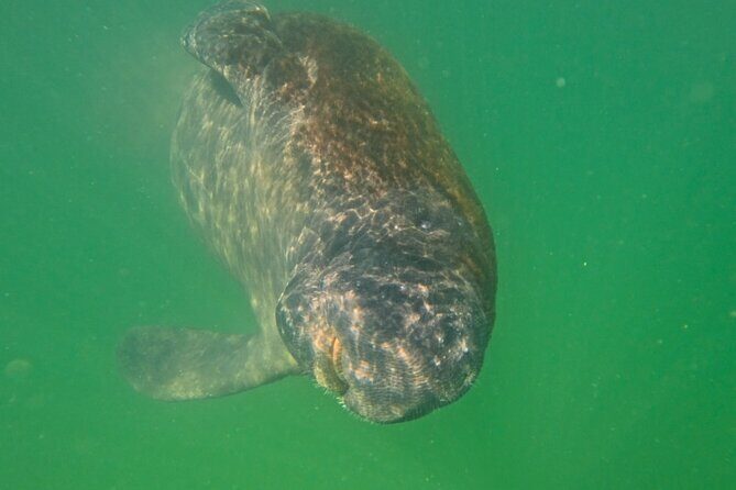 Sarasota Waterways Tour for All Ages - The Breakdown of the Itinerary