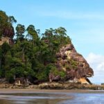 Sarawak Bako National Park Tour : Pristine Rainforest Jungle - FAQs