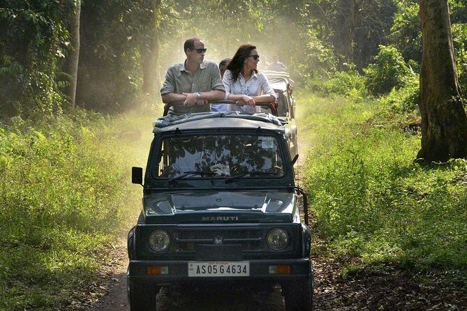 Sariska Tiger Reserve Safari Tickets (Skip The Line) - How the Tour Works