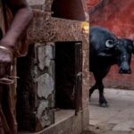 Sarnath and Varanasi Combined Day Tour - Final Thoughts: The Value of the Sarnath and Varanasi Tour