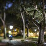 Savannah Shadows All Ages Ghost Tour - The Sum Up: Who Should Consider This Tour?