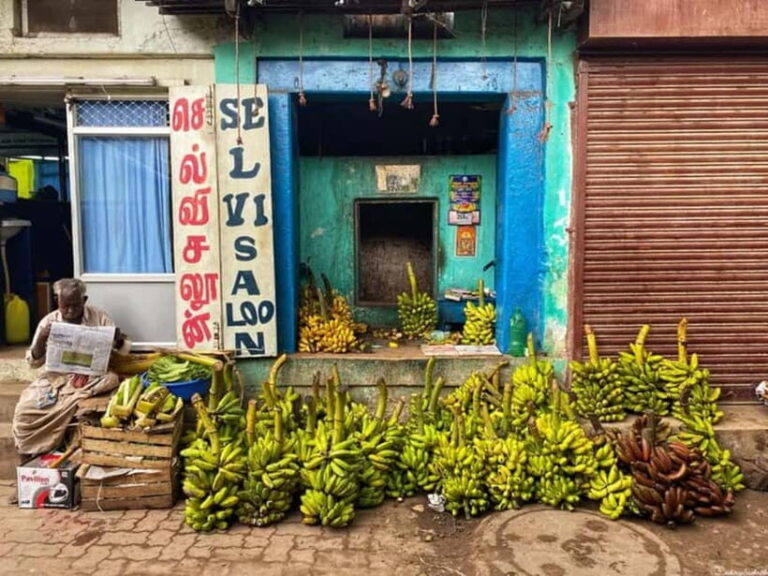 Savouring Madurai: Private Street Food Tour of Madurai ! - Practical Details and Tips