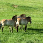 Scenes of National Parks - What to Expect on This 3-Day Adventure