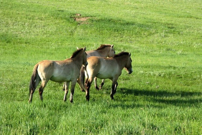 Scenes of National Parks - What to Expect on This 3-Day Adventure