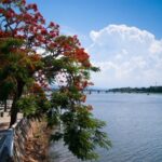 Scenic Dragon Boat Trip On Perfume River - Hue City - Visiting the Royal Tombs and Architectural Marvels