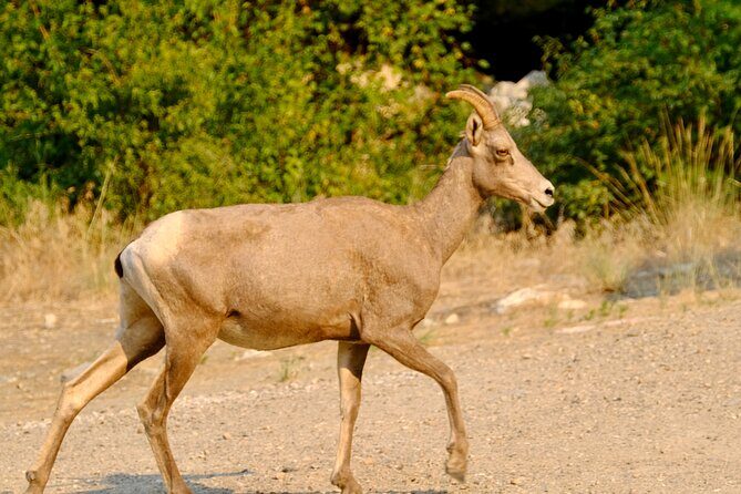 Scenic Float on the Salmon River - Half Day - The Itinerary in Detail
